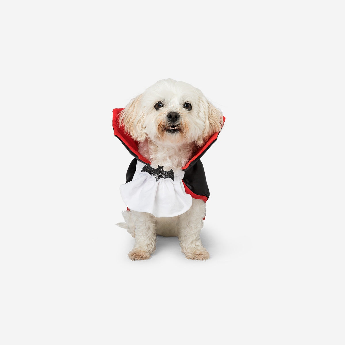 Pet costume - Dracula – Flying Tiger Copenhagen