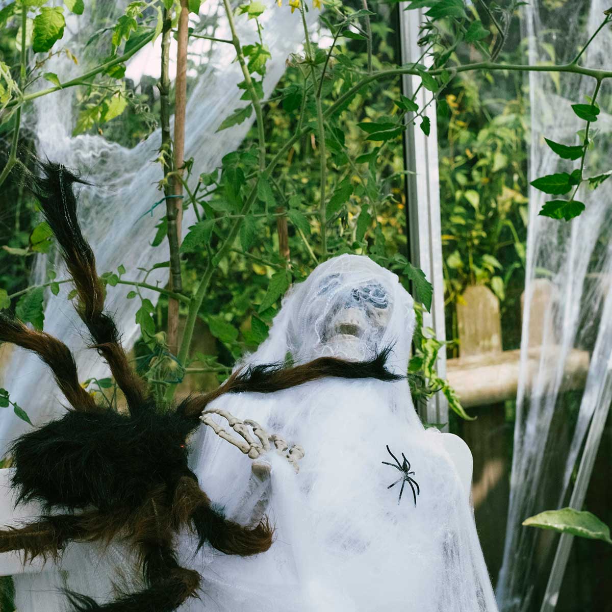 Cobweb £5| Flying Tiger Copenhagen