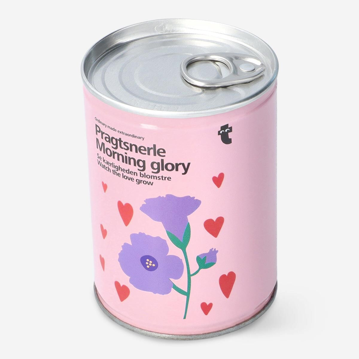 Morning glory. Grow set | Flying Tiger Copenhagen